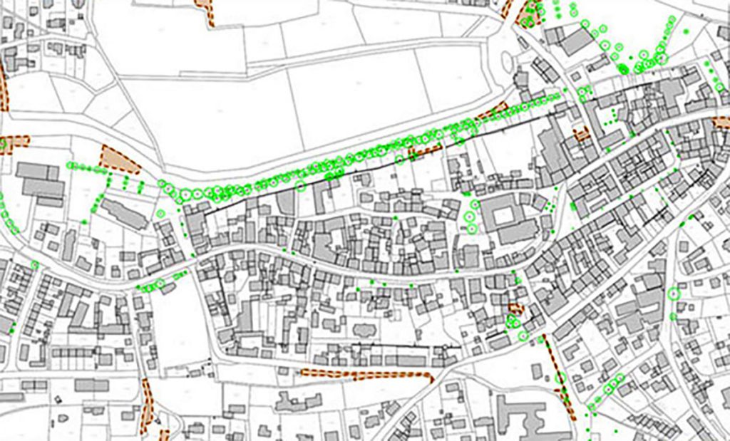 Baumkataster Langenzenn - GSP Landschaftsarchitektur & Stadtplanung